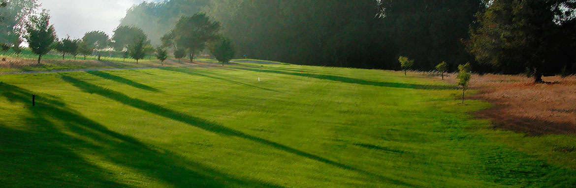 Spring Hills Golf Course > Home